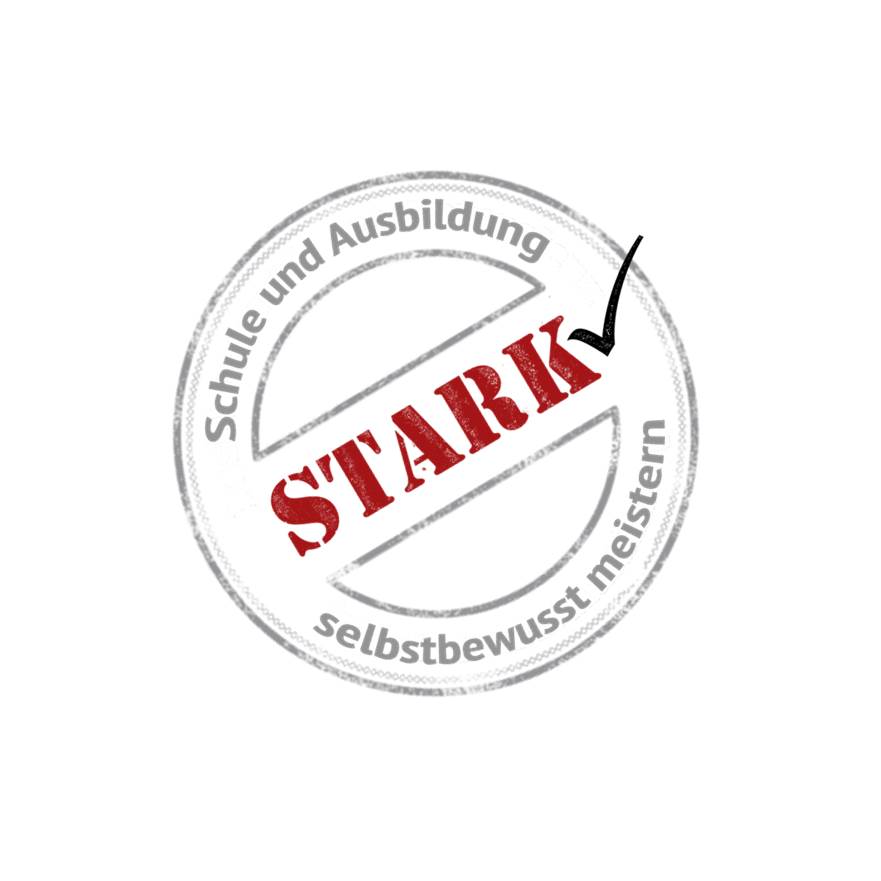 bsnu ist Stark-Modellschule - Staatliche Berufsschule Neu-Ulm